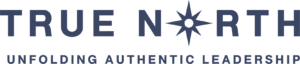 True Norths Baggrund - True North